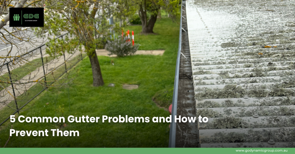 5 Common Gutter Issues & How to Prevent Them