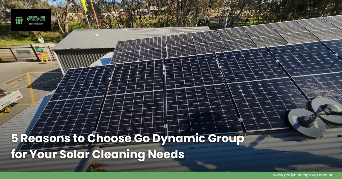 5 Reasons to Choose Go Dynamic Group for Solar Cleaning